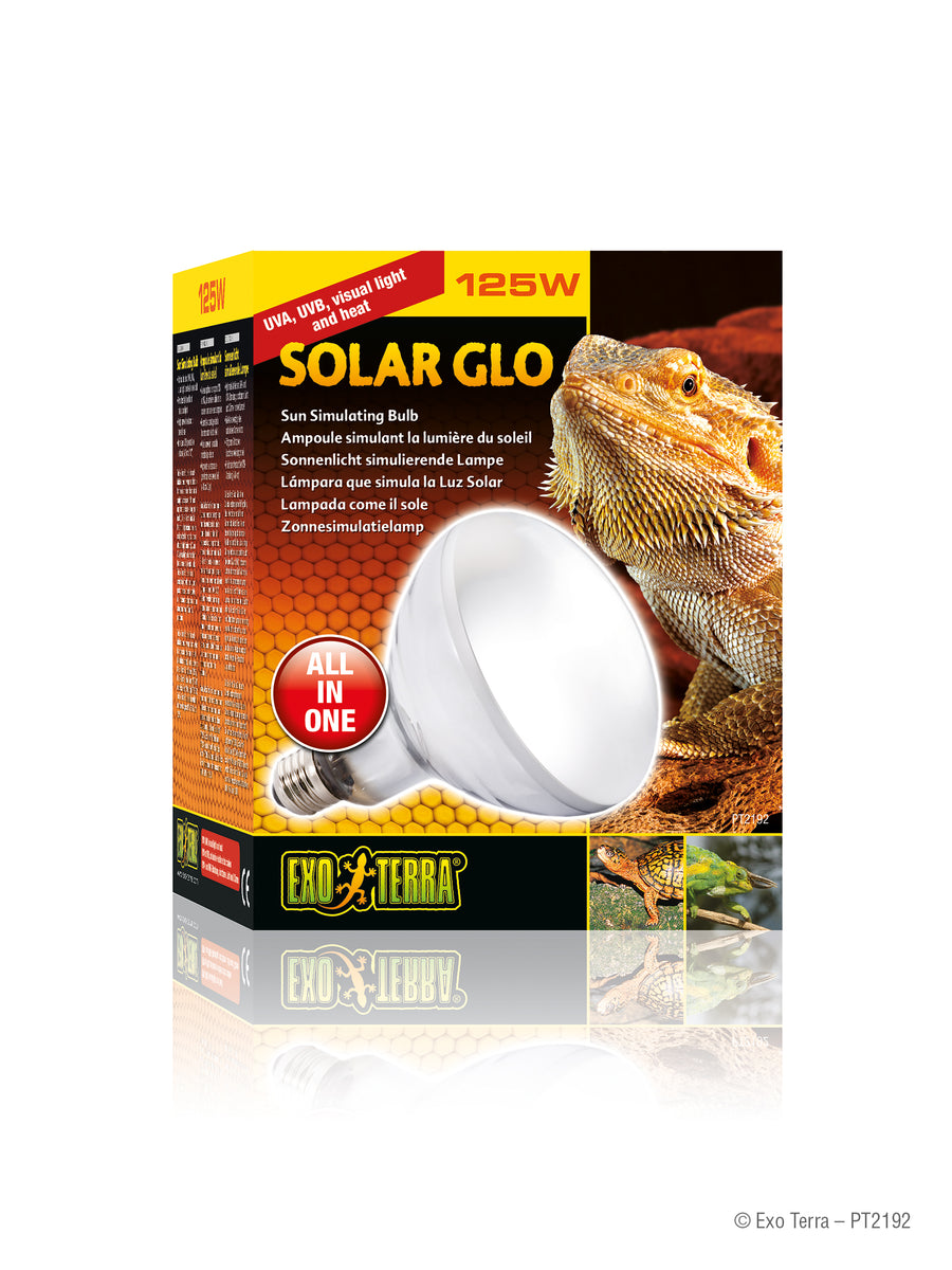 Exo Terra Solar Glo 125W - PT2192 – KS Pets Hub