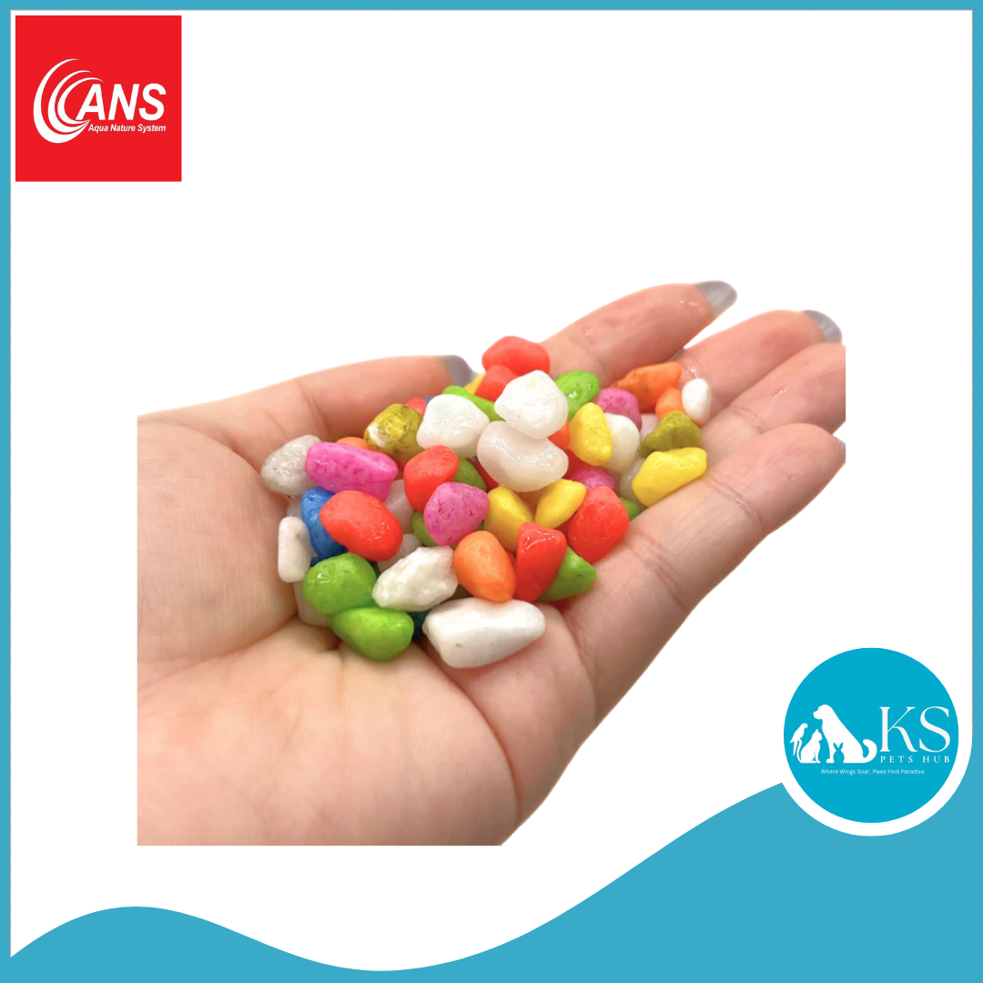 ANS Naturesand Coloured Sand 5kg Fish & Aquatic – KS Pets Hub