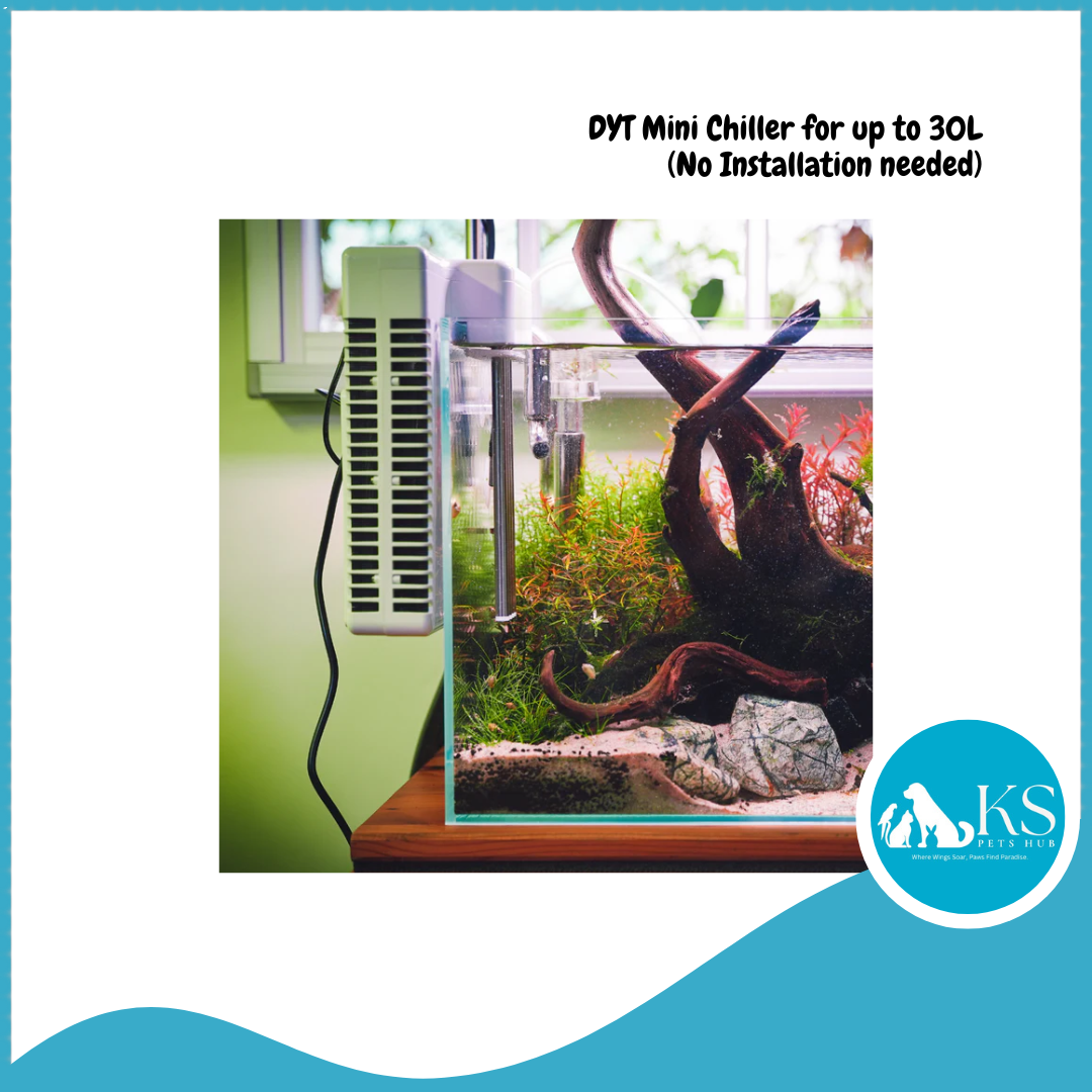 DYT Mini Chiller for up to 30L (No Installation Needed) Fish & Aquatic ...