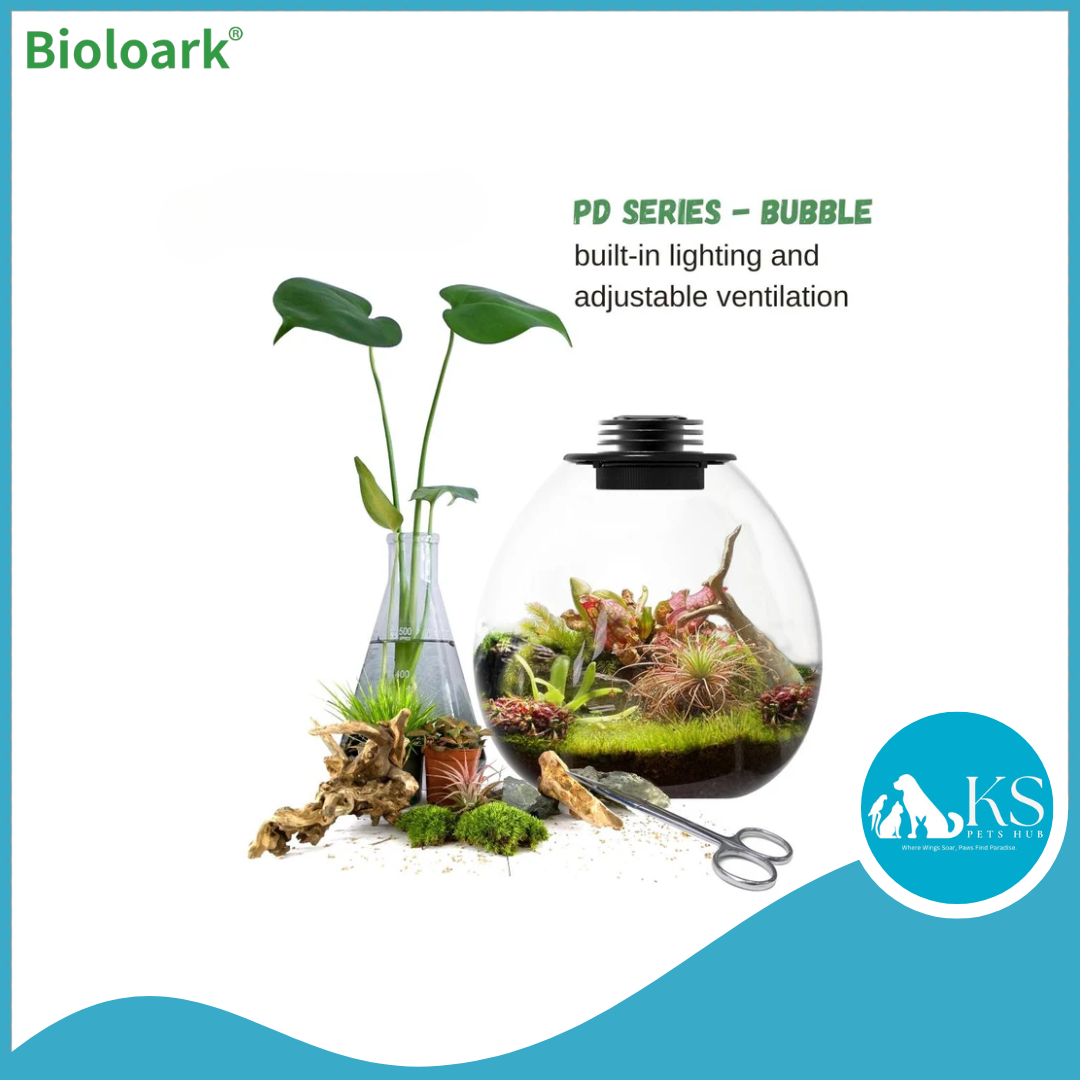 BIOLOARK - Bubble Terrarium (PD-170 / PD-210) – KS Pets Hub