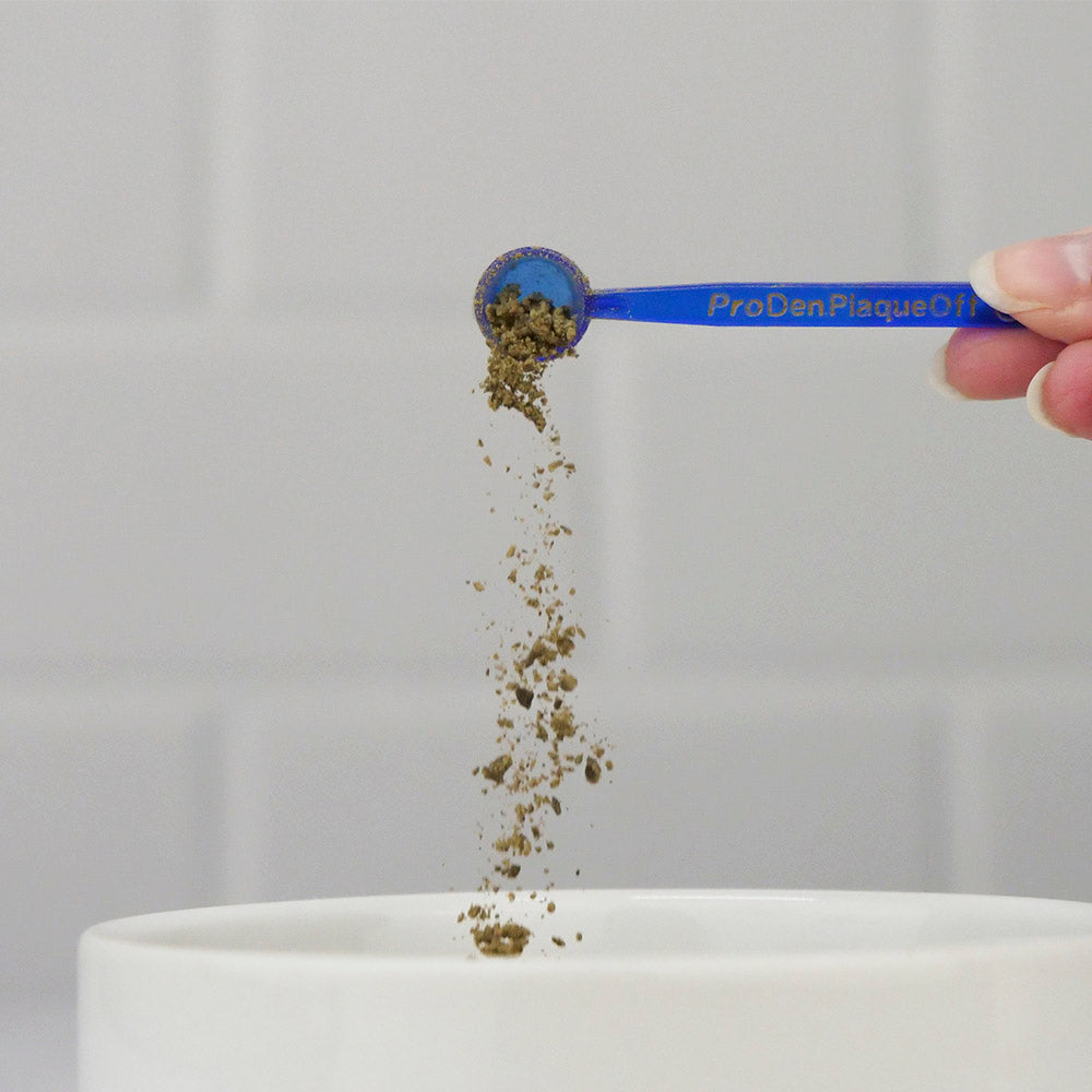 Proden Plaque Off Powder 40g Dental Care For Cats – KS Pets Hub